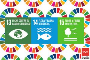 ODS 13,14 Y 15: actúa por el medio ambiente - blog voluntariado ...