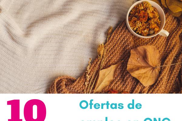 UNICEF, AECC, Save the Children, CEAR.. descubre qué otras ONG buscan ...
