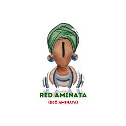 DJÒ AMINATA/RED AMINATA - Transparencia ONG - hacesfalta.org